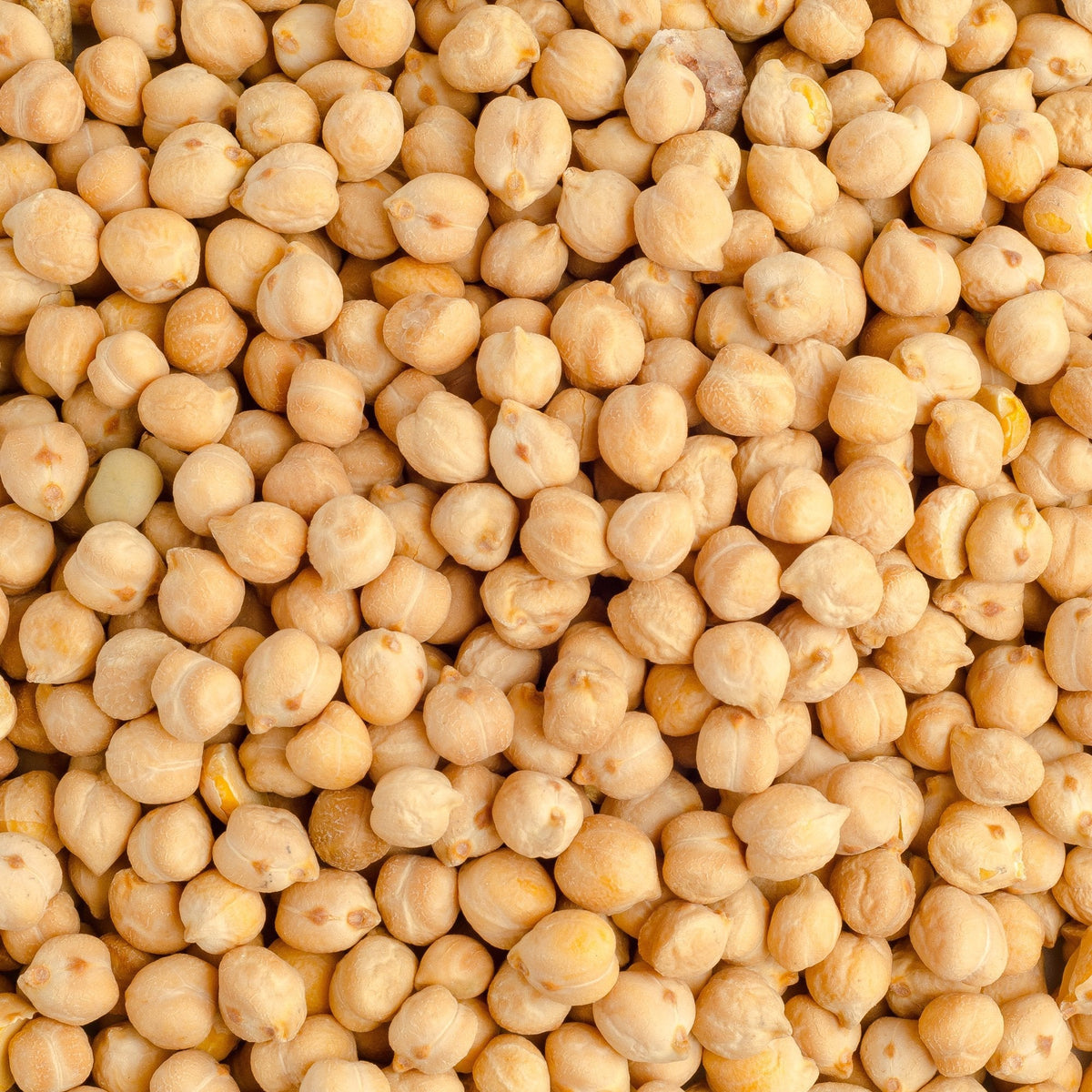 Organic stone ground chickpeas flour FACE500 | Alce Nero